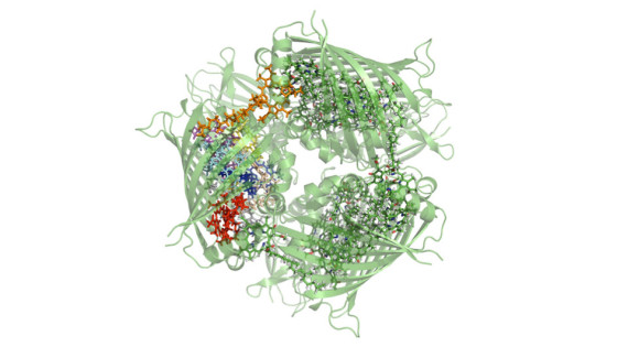 FMO Complex.jpg | Energy